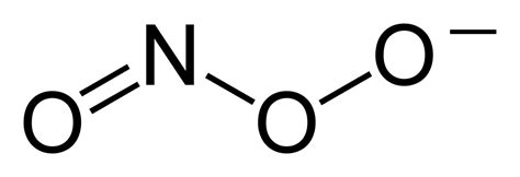 Peroxynitrite Always Seems Worried Rchemistry