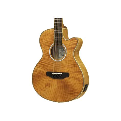 12 String