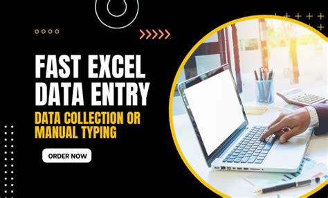 Do Fast Excel Entry Data Collection Or Manual Typing By Faseehach