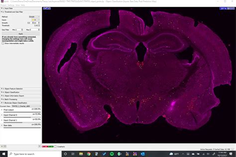 Object Classification Not Classifying Segmented Objects Usage