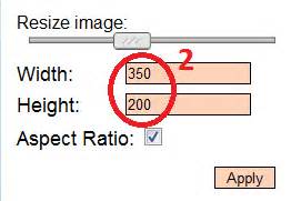Resize Your Image Free Online Image Editor