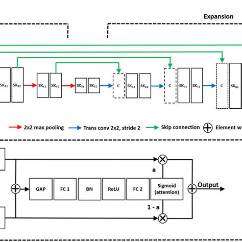 Us Images From The Udiat Oasbud And Busi Datasets These Us Images Download Scientific Diagram