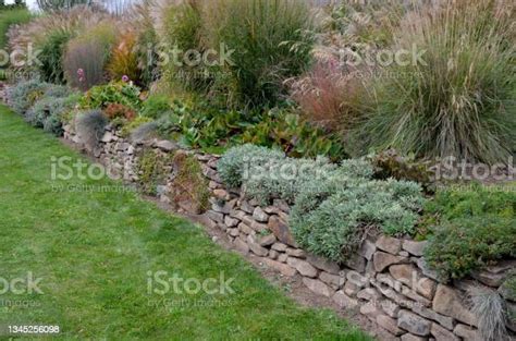 계단이있는 계단식 지형의 화단에 사암 벽과 돌 자갈 표면과 꽃 바위와 계단 가을에 장식 잔디허브 정원 억새에 대한 스톡 사진 및 기타 이미지 Istock