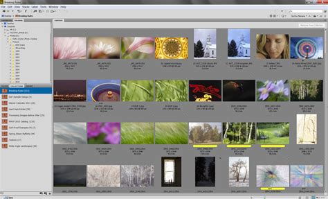 Uninstall Adobe Bridge Cs6 Darelozero