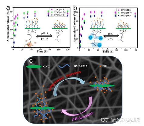 刺激响应型电纺纳米纤维！可用于药物输送、癌症治疗、伤口敷料和组织工程等领域 知乎