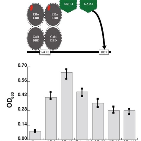 Chemical Complementation Is A Binding Assay This Assay Couples Yeast