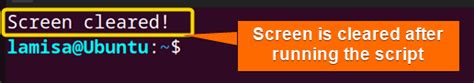 How To Clear Screen Using Bash Script 2 Effective Methods Linuxsimply