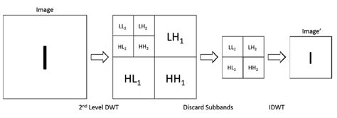 wavelet pooling forward propagation algorithm [44] download