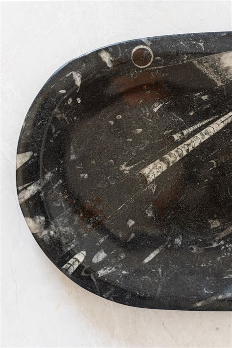 Vintage Oblong Fossilized Platter District Loom