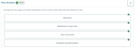 Chapter 7 Smartbook Biology Flashcards Quizlet