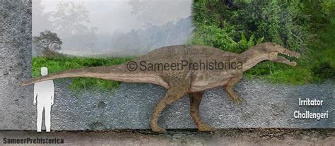 Irritator Size By Sameerprehistorica On Deviantart
