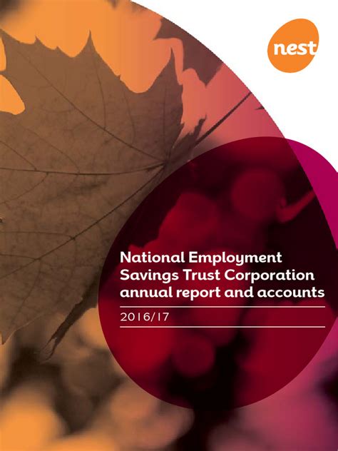 Nest Corp Ara 2016 2017 Pdf Investing Pension