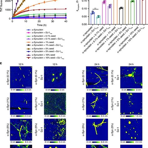 Seeded Aggregation Of α Synuclein In Presence Of Dj 1 Pox A Increase