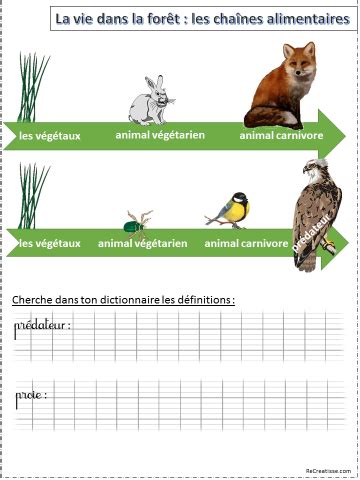 Programme Chaîne Alimentaire Ce1 Ce2 Gonkws