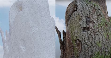 Tutorial Transfering Textures In Realitycapture