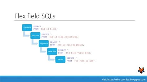 Understanding Flex Fields With Accounting Flexfieldschart Of Accoun