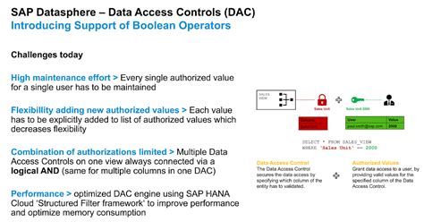 Sap Abap Central Introducing New Type Of Data Access Control Operator And Value For Sap