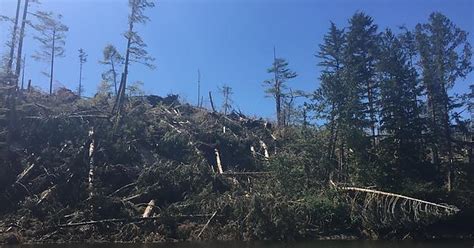Shameful Logging Practices On Vancouver Island Album On Imgur