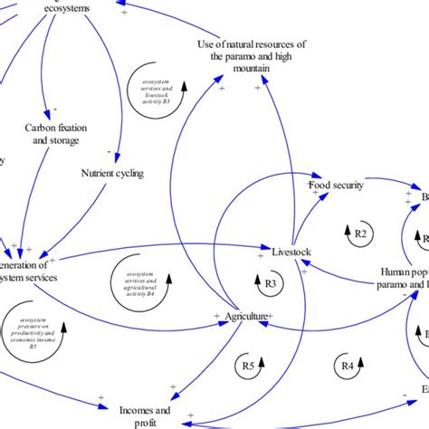Causal Loop Diagram Showing The Relationship Between The Population