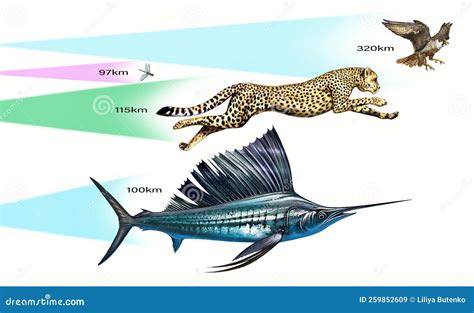 What Is The Fastest Ground Animal In The World At Michael Lefroy Blog
