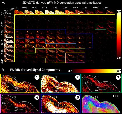 a spectral amplitude maps of normalized 2d µf a − m d correlation