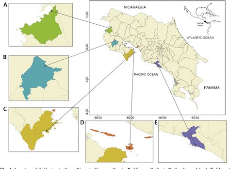Figure 1 From Hematological Reference Values For Alouatta Palliata Primates Atelidae And