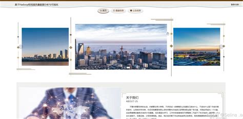 基于spring Boothadoop的短视频流量数据分析与可视化管理系统springboot 基于hadoop网站流量日志数据分析系统
