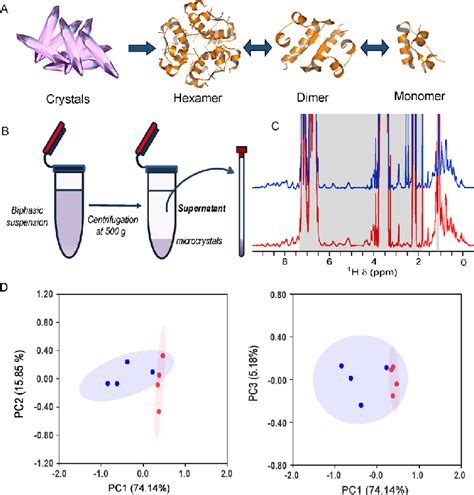 A Cartoon Mimicking Insulin Hexamer Releases From The Crystal Which