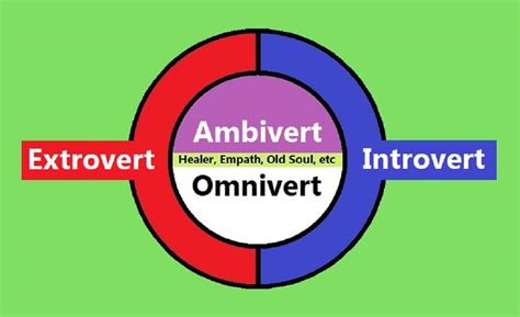 James Robins Art Design Omnivert Personality