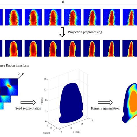 The Principle Of Radon Transform Download Scientific Diagram