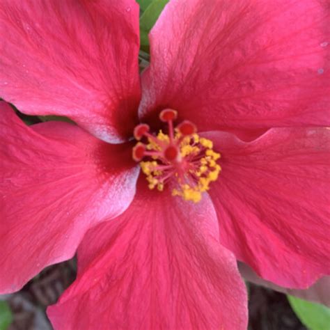 Leow Se Researcher Universiti Pendidikan Sultan Idris Upsi Kuala Lumpur Upsi Centre