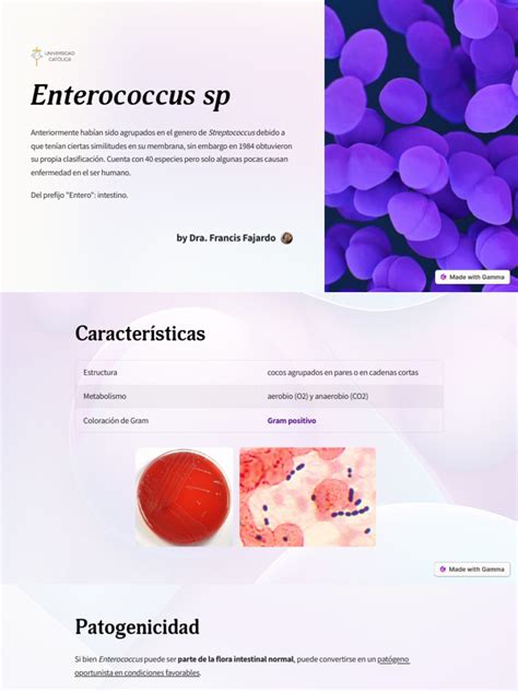 Enterococcus Sp Pdf Infección Del Tracto Urinario Resistencia
