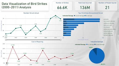 suyash gandhi on linkedin birdstrike datavisualization python pandas powerbi dashboard…