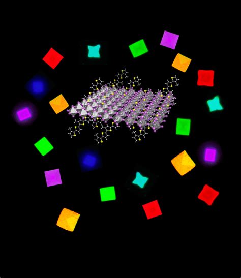 Gallery Letian Dou Group