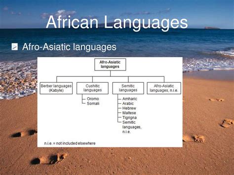 African Languages 2000 Languages In Africa Ppt Download