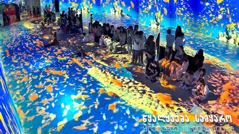 🌊წყალქვეშ Tbilisi Digital Space თბილისის ციფრული სივრცე