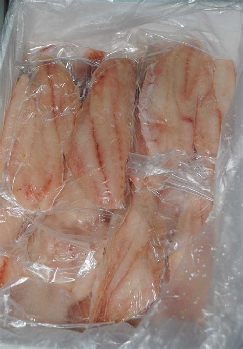Frozen Red Grouper Fillet Atlantic Yokota Usa Atlantic Seafoods