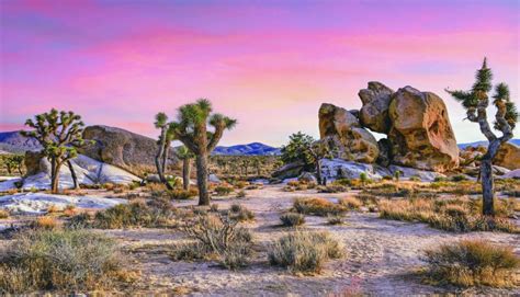 Members Appreciation Registration For 2025 Pda Week Begins Today Lets Kick This Week Off With