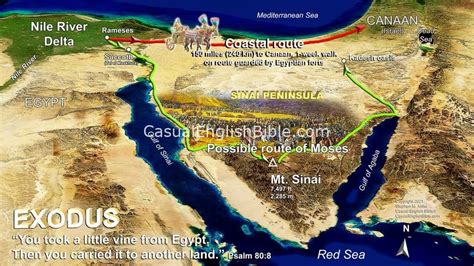 Exodus Out Of Egypt Casual English Bible