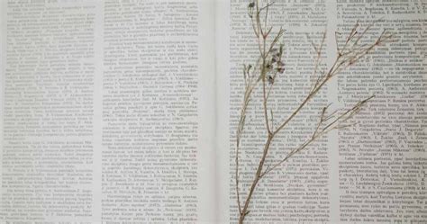 Pythonでデータフレームの数値文字列をzfillで0埋めする さとぶろぐ Pythonでデータフレームの数値文字列をzfillで0埋めする さとぶろぐ