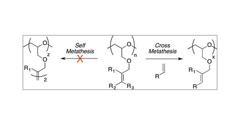 Tailoring Polyethers For Post Polymerization Functionalization By Cross Metathesis Organic Letters