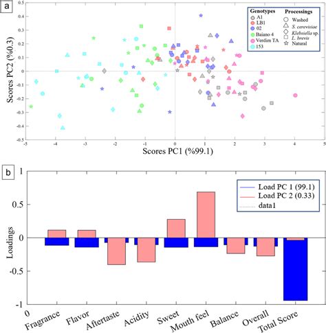 principal component analysis pca score plots a and loading plots