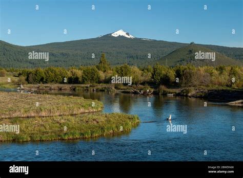 The Morning View At The East Davis Lake Campground In The Deschutes