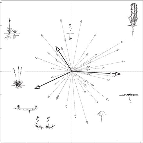 Life History Traits And Ecological Indicator Values Predicting Species