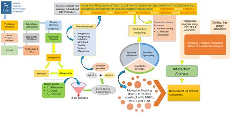 A Comprehensive Computer Aided Vaccine Design Approach To Propose A Multi Epitopes Subunit