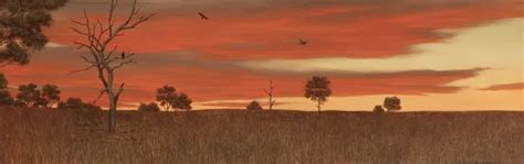 Upgrade Our Emotional Operating System Os With Mindfulness