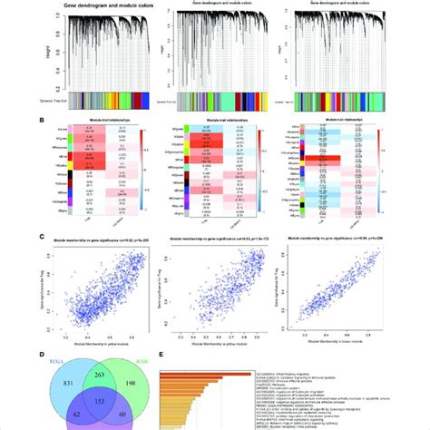 identification of prognostic molecular subtypes by the nmf algorithm