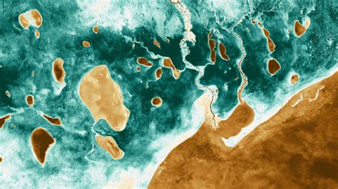 Understanding Forests After Fire With Landsat And Lidar Landsat Science