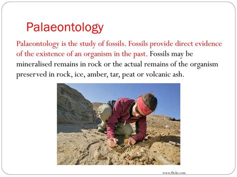 Ppt Blueprint Of Life Topic 4 Evidence To Support The Theory Of