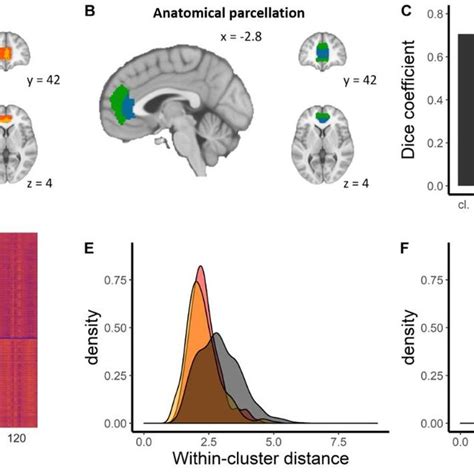 Functional And Anatomical Parcellations A Functional Parcellation